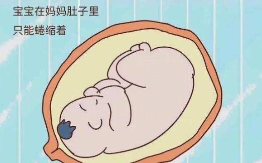 嘘嘘声和羊水声 循环图标