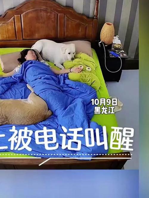 苹果手机睡眠状态可以通知来电吗图标