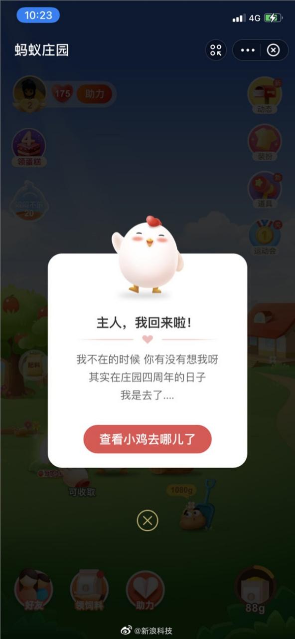 今日支付宝小鸡截图