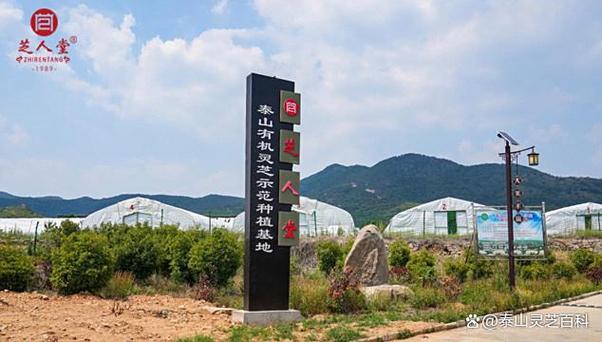 山东灵芝种植基地地址图标