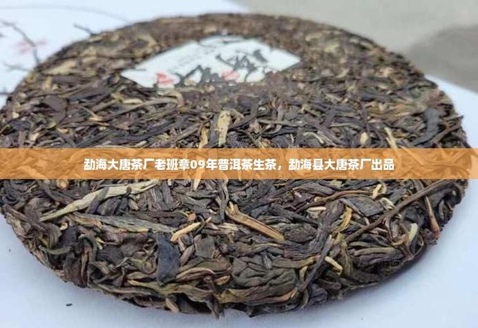 勐海大唐茶厂什么档次截图