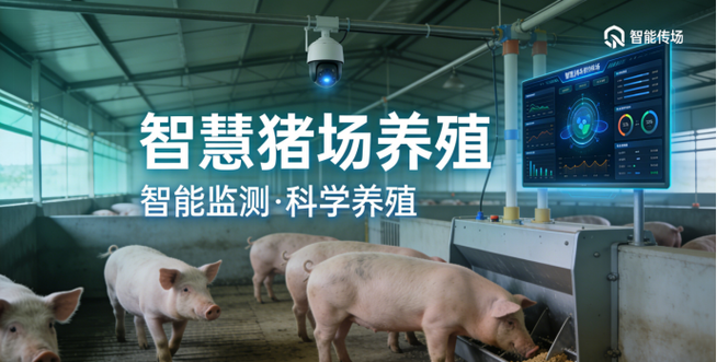 生猪养殖图标
