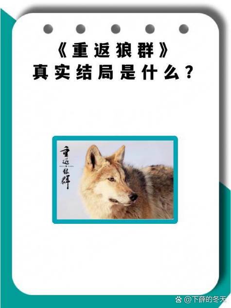狼群笔趣阁无弹窗免费阅读图标
