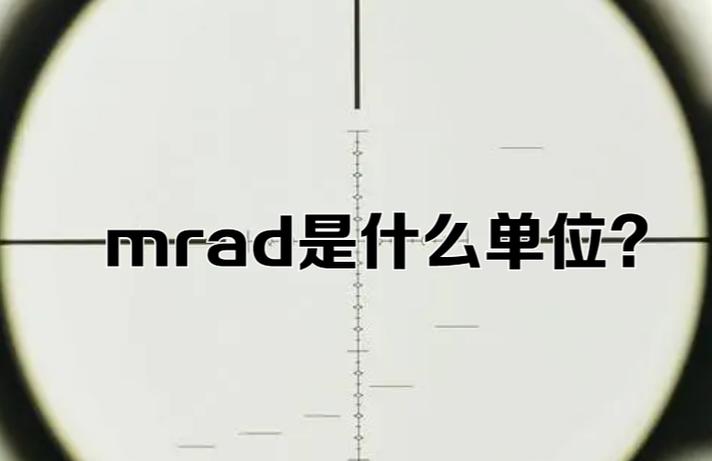 radians截图