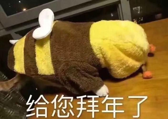 拜年表情图