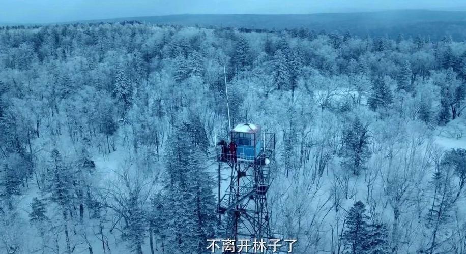 双探电视剧免费播放在线截图