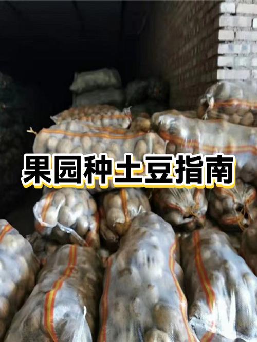 果园种植国家有补贴吗截图