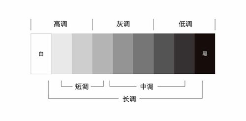qq背景黑色怎么恢复白色图标