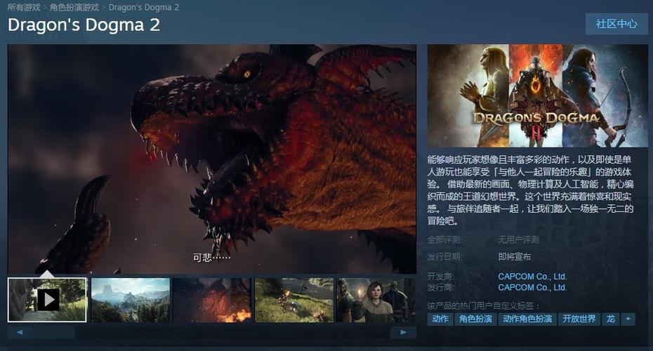 龙之信条steam上没有图标