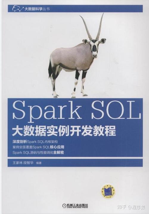 Spark大数据项目实例图标