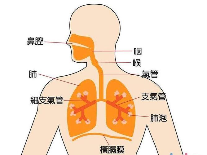 呼吸都能变强系统图标