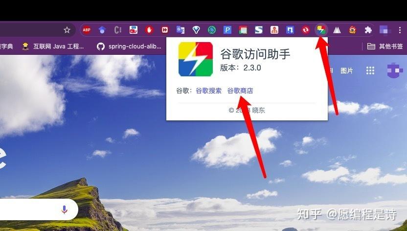 谷歌访问助手插件图标