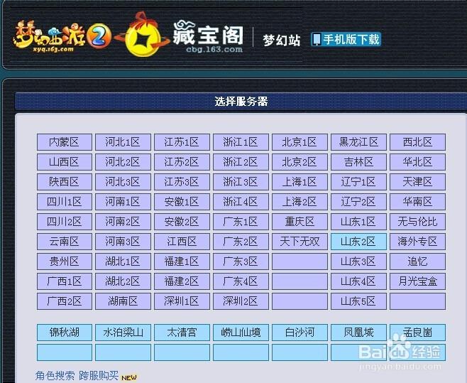网站藏宝阁截图