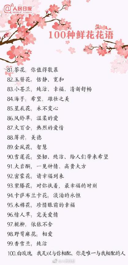 各种花的含义及各种花的花语图标