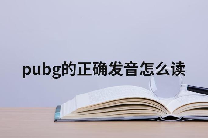 PUBG发音图标