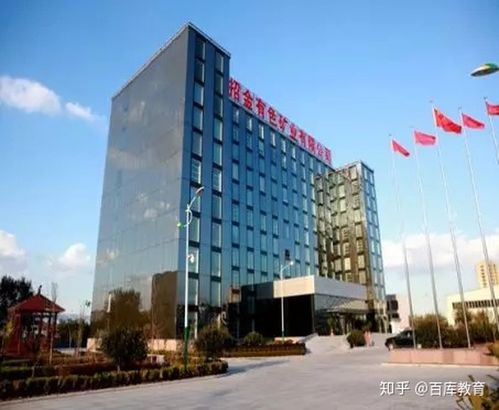 招金置业发展有限公司截图