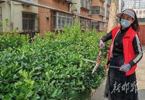解决小镇居民的烦恼截图