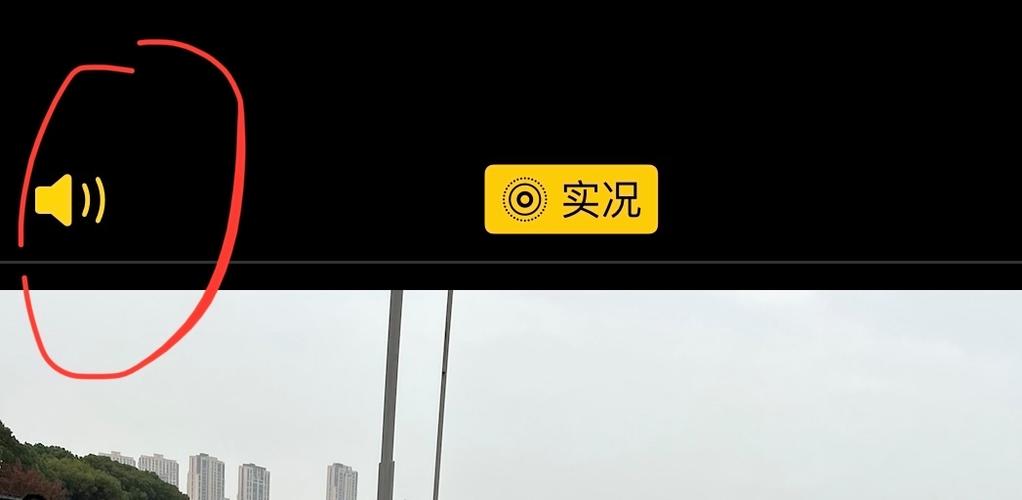 实况没声音了怎么回事截图