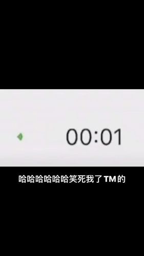 哈哈哈语音截图