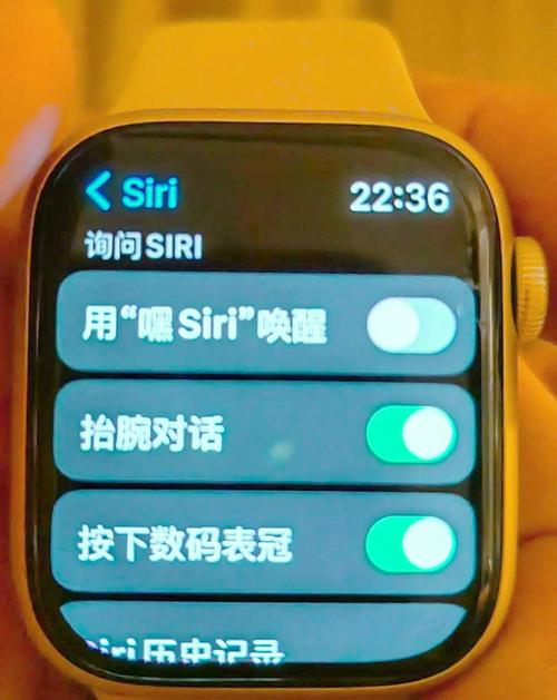 苹果手表怎么设置抬腕时唤醒图标