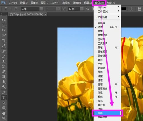 ps打不上字光标是一个小点