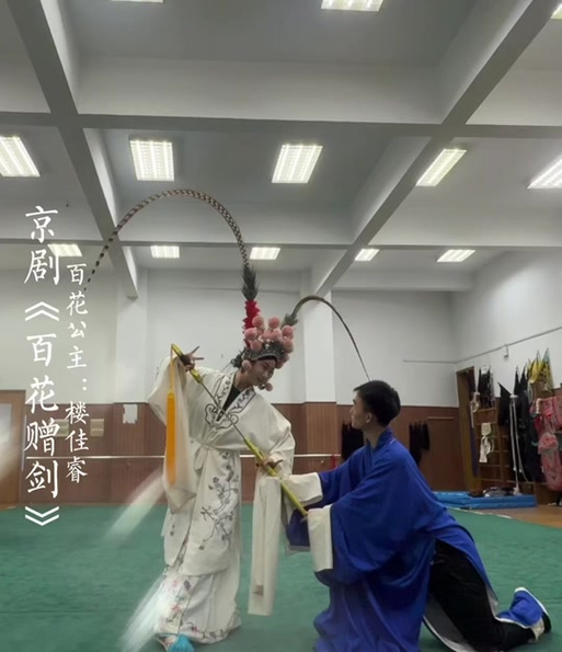 峨眉剑视频图标