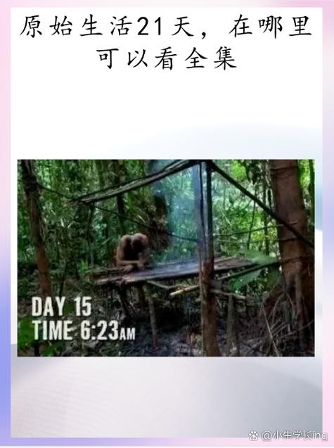 美剧鸟app到底安不安全图标