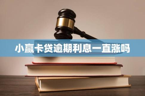 小赢卡贷利息高吗图标