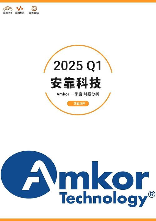 美国美安公司介绍图标