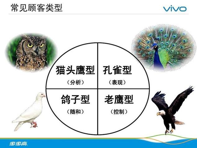 孔雀型四种性格类型测试图标