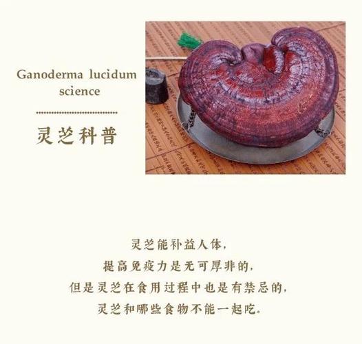 更年期吃灵芝有什么好处截图