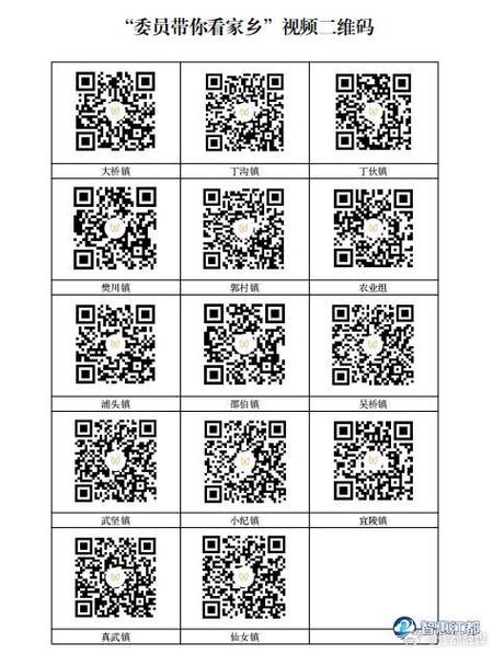 扫二维码可以播放视频的那种是什么