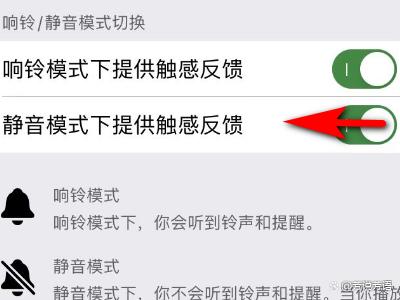 苹果x静音模式不振动图标