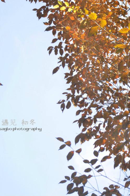 vivo怎么显示时间在屏幕上图标