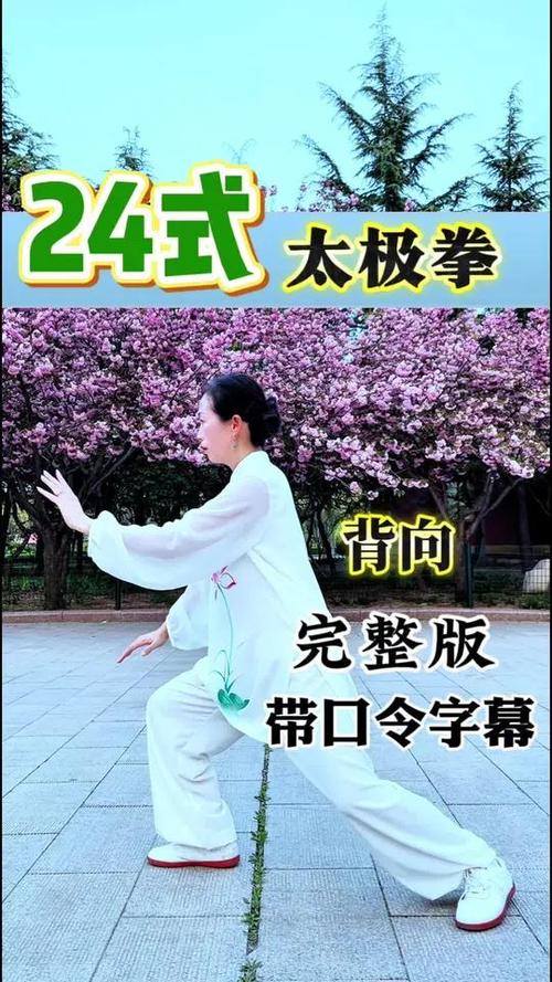 二十四式太极拳截图