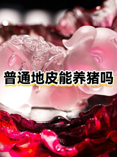 今年适合养猪吗图标
