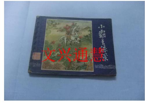 小霸王孙策小说截图