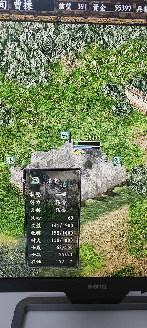 三国志九汉中王条件图标