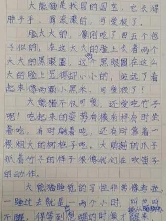 每天一篇小练笔截图