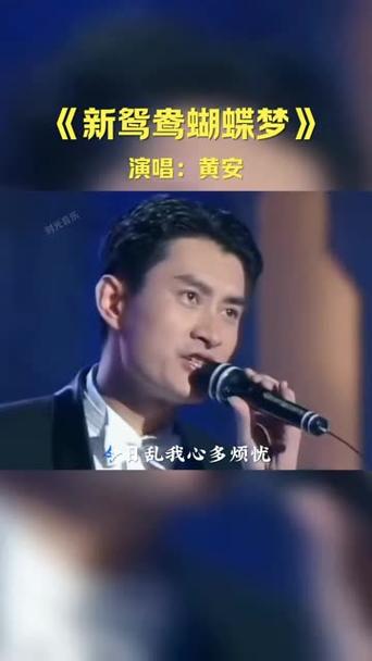 新鸳鸯蝴蝶梦改编歌曲图标