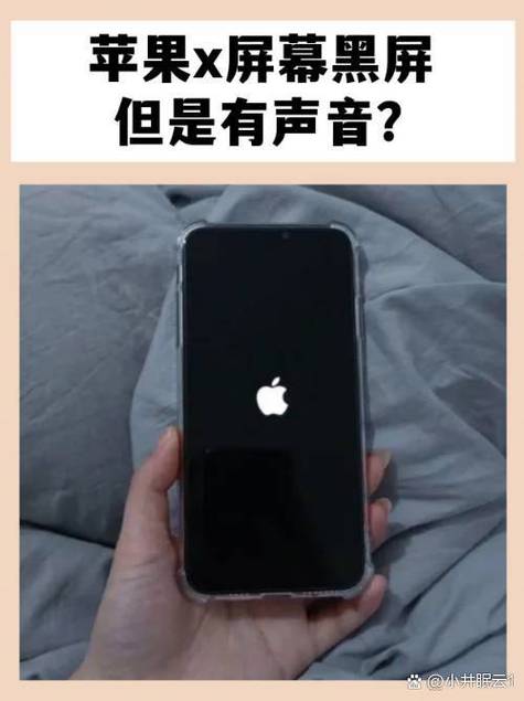 苹果摔了一下前置摄像头黑屏图标