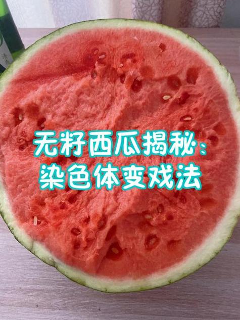 西瓜注册邀请码图标