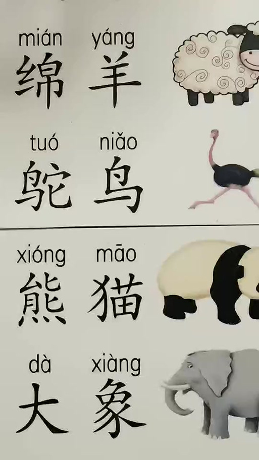 拼音xiong与xong的区别图标