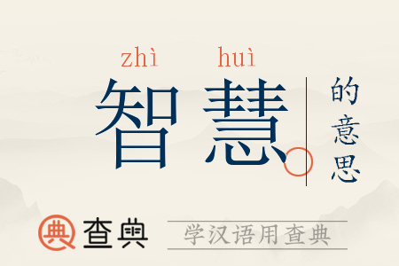 智慧多是什么东西截图
