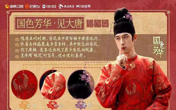 锦绣芳华剧集介绍图标