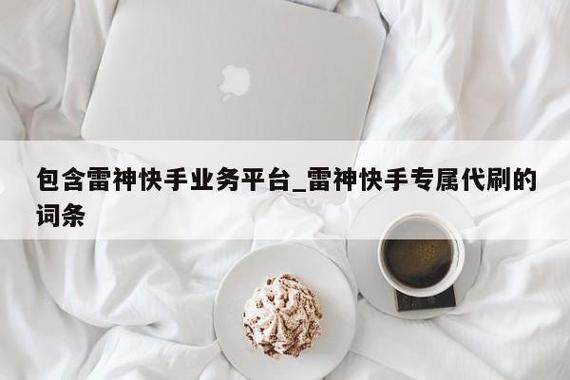 雷神代网刷网图标