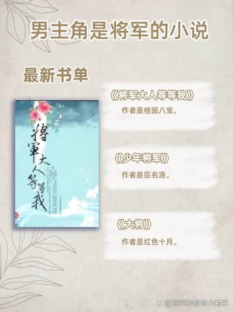 桂圆小说系列图标