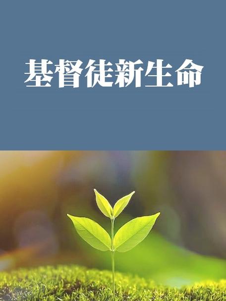 基督生命app图标