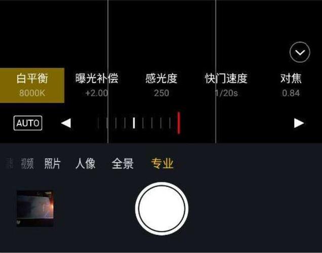 oppo相机专业模式截图