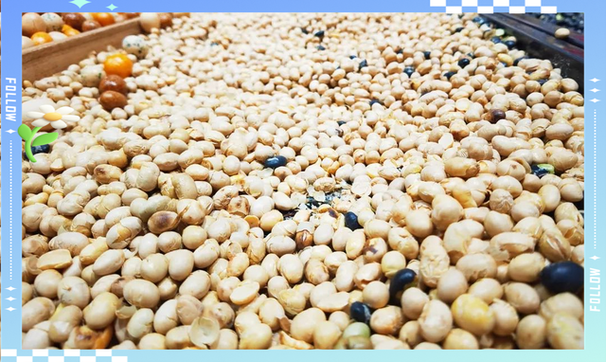 一颗小糖豆截图